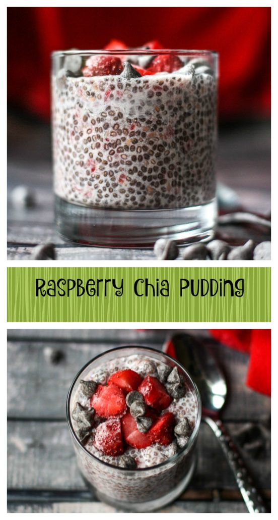 Raspberry Chia Pudding Recipe